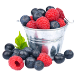 Foodarom - Flavor designers